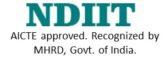 NDIIT – New Delhi Institute Of Information Technology
